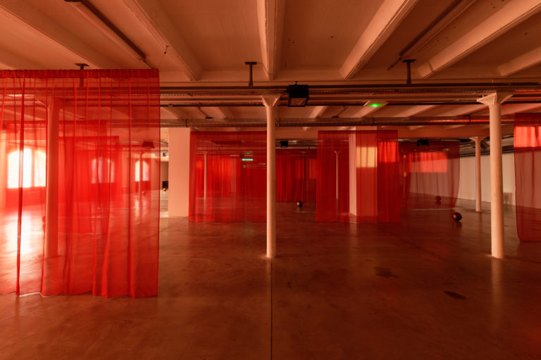 OOLOI, Triangle France – Paul Maheke